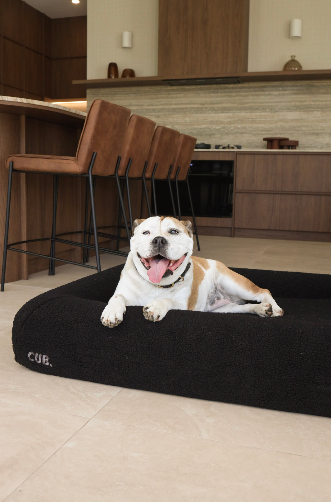 CUB. | Premium Dog Beds & Accessories – Cub