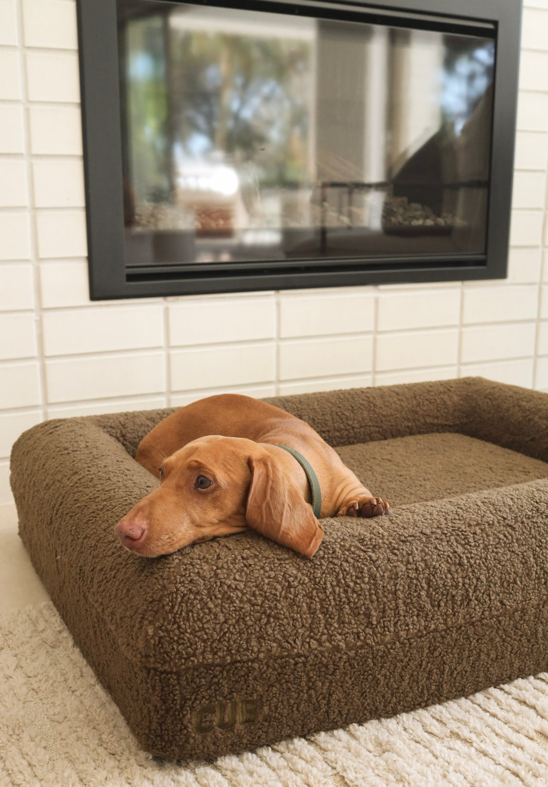 CUB. | Premium Dog Beds & Accessories – Cub