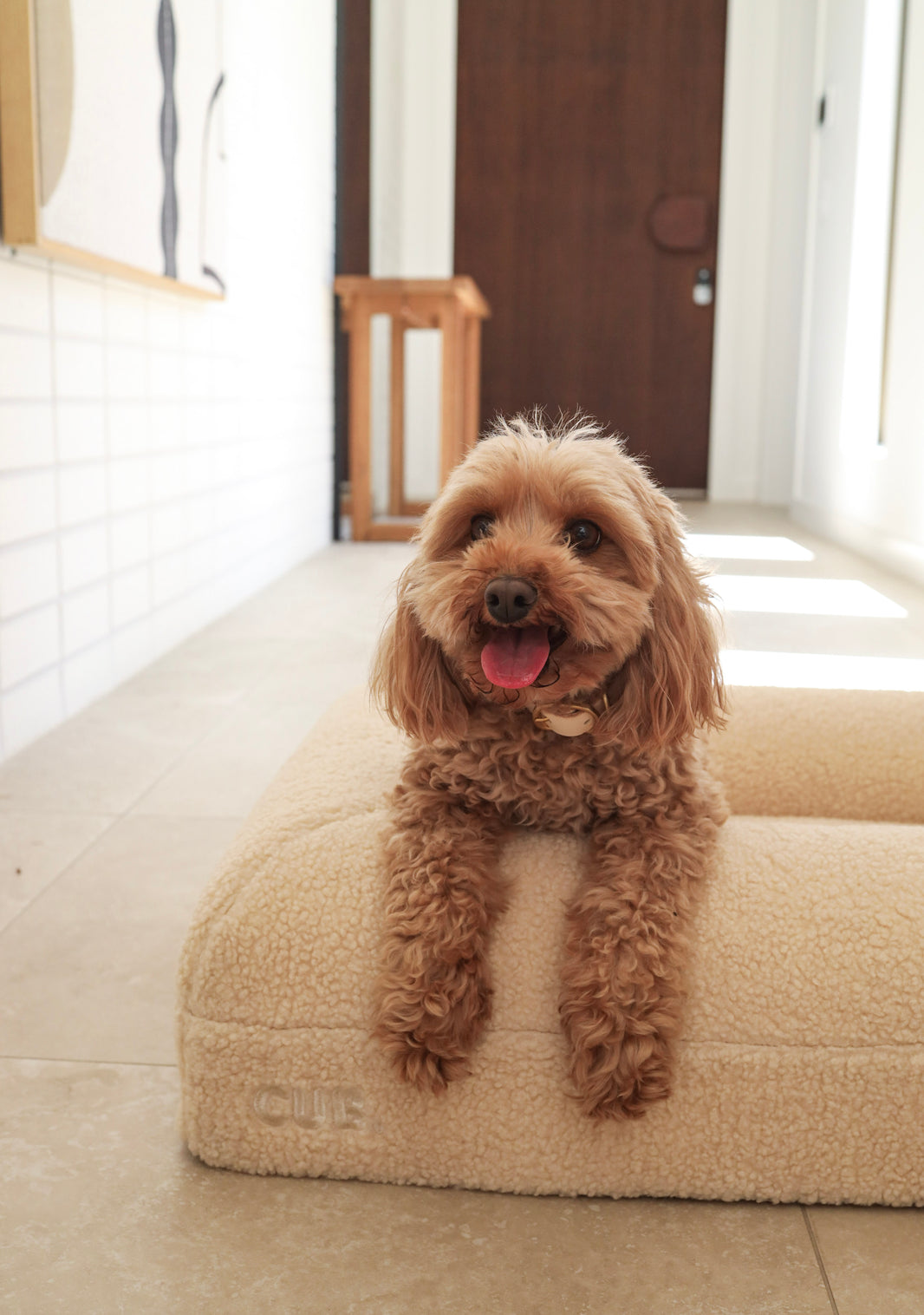 CUB. | Premium Dog Beds & Accessories – Cub