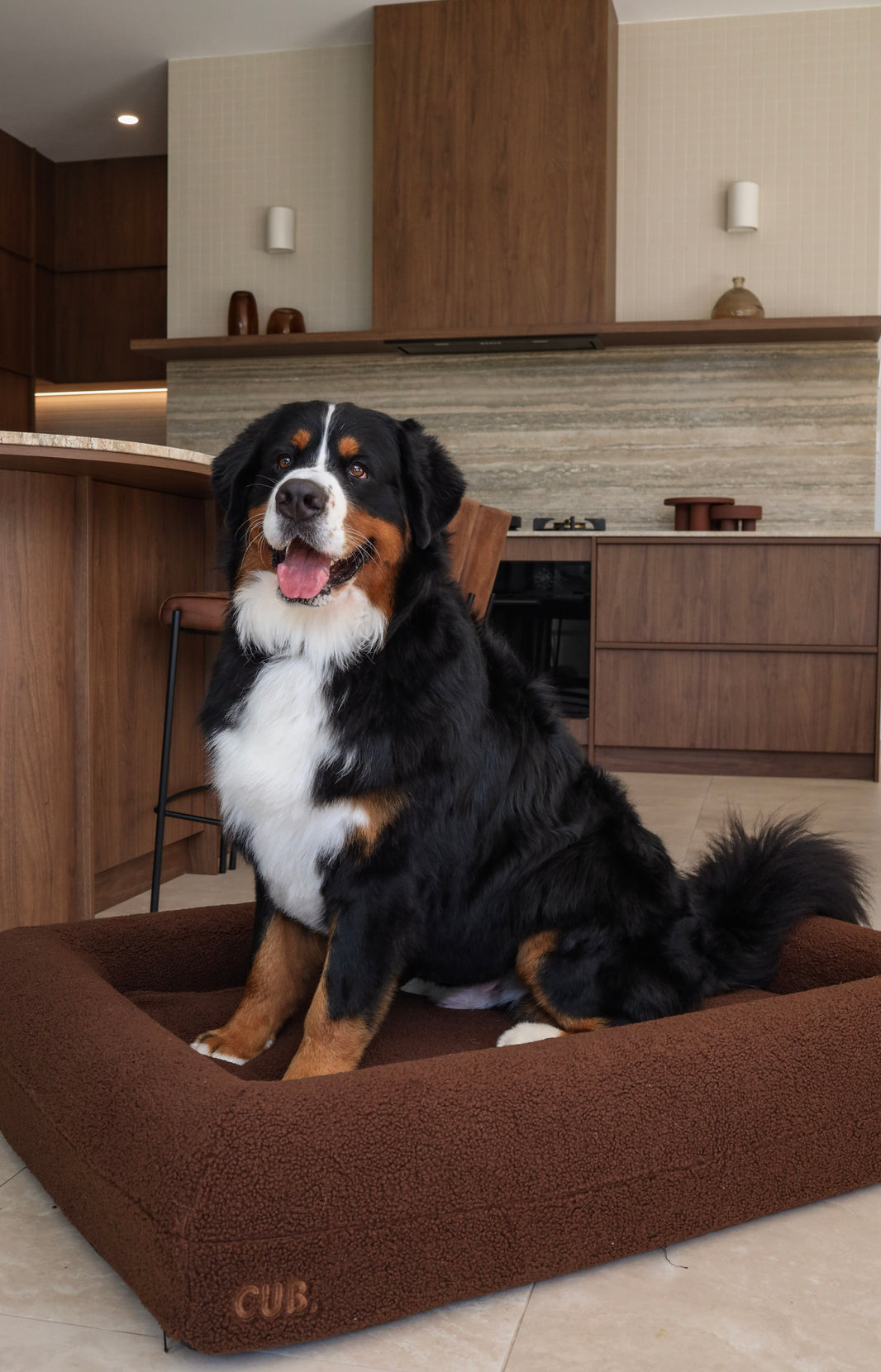 CUB. | Premium Dog Beds & Accessories – Cub
